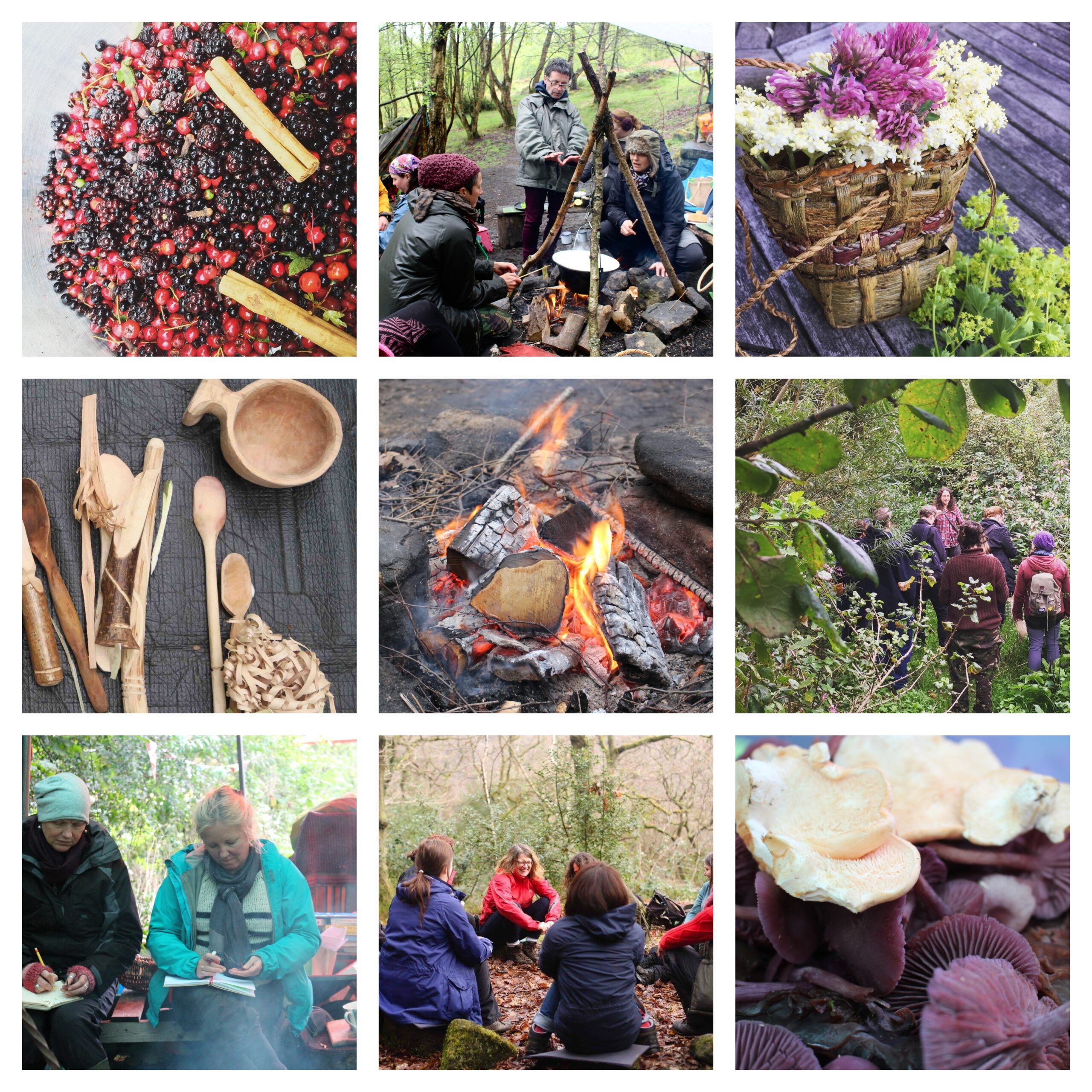 Learning To Live Wild | Live Wild
