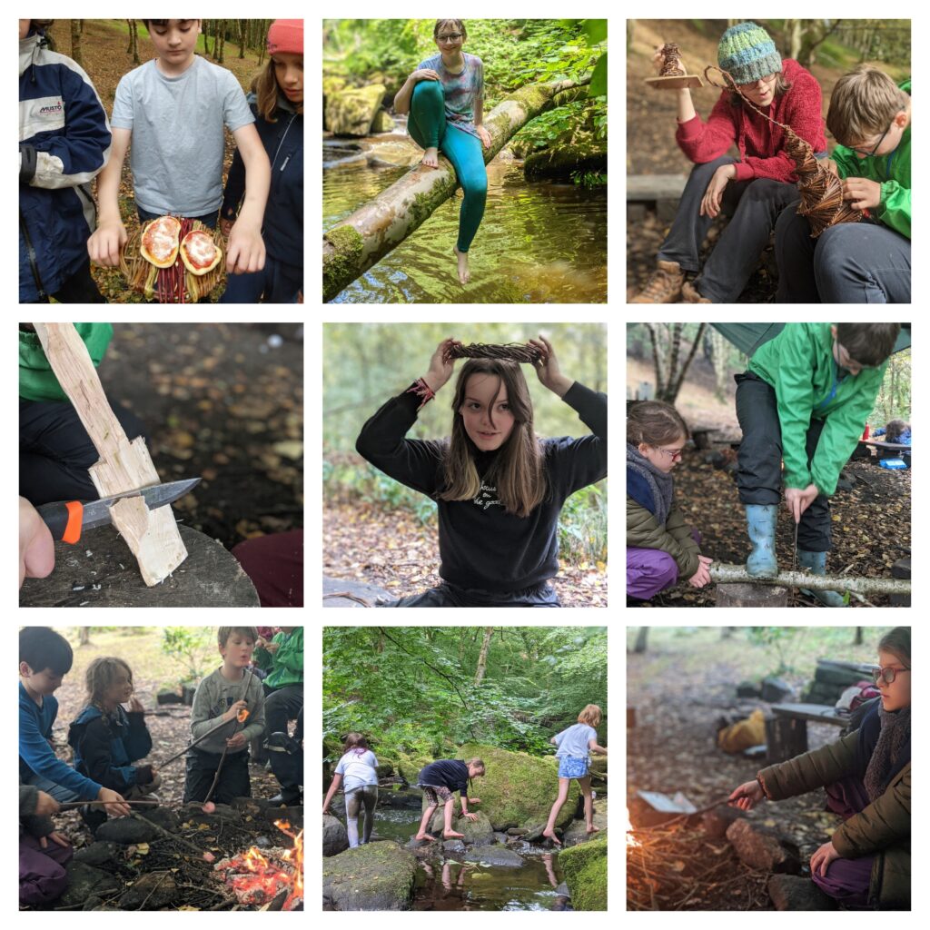 Home Education | Live Wild